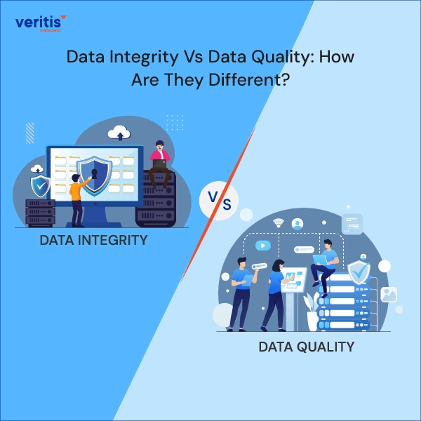 Data Integrity vs Data Quality: Drive Success with Veritis